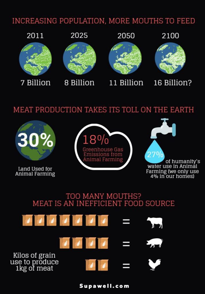 Environmental Consequences of Meat Production: Food for Thought - Supawell